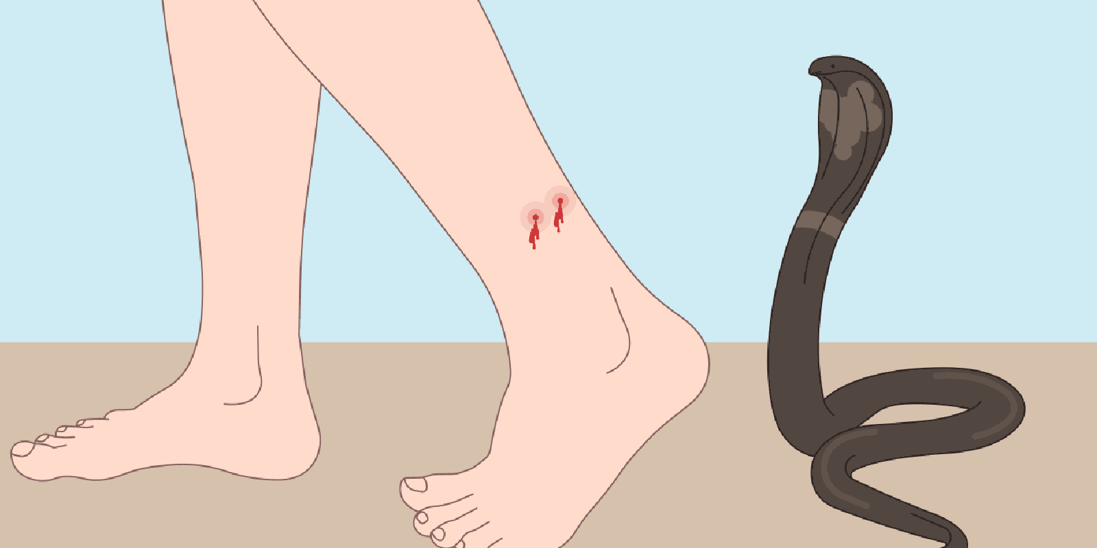 ഓണാഘോഷത്തിനിടെ ക്ലാസ് മുറിയില്‍ നിന്നും അധ്യാപികയ്ക്ക് പാമ്പു കടിയേറ്റു ...